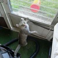 I Hang Out Whre I Want