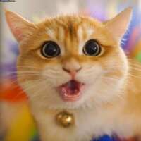 Hey Buddy Help Me Out