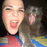 Rawrrrr Kitty